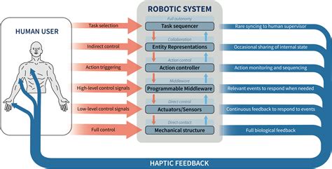 A Hierarchical Sensorimotor Control Framework For Human In The Loop Robotic Hands Science Robotics
