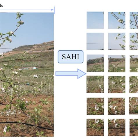 The Process Of Sahi Splitting The Original Image Download Scientific Diagram