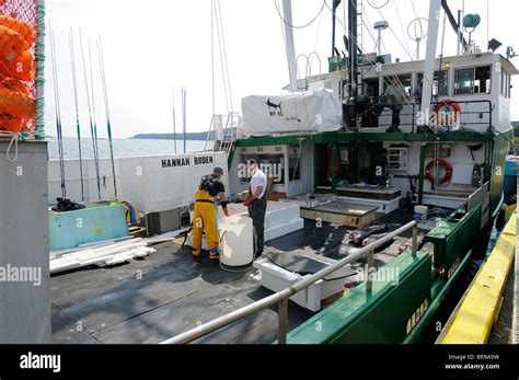 [43 ] Barco De Pesca Hannah Boden