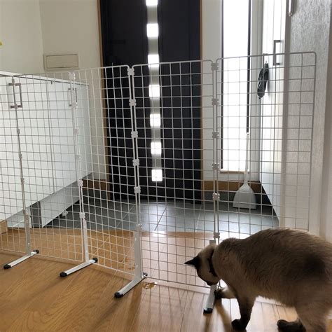 100均だけで猫の脱走防止柵作り★作業時間30分♪ Nonomaの快適ずぼら生活 猫 100均 生活
