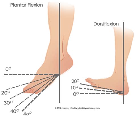 Normal Range Of Motion For The Ankle Is To Dorsiflexion And My Xxx Hot Girl