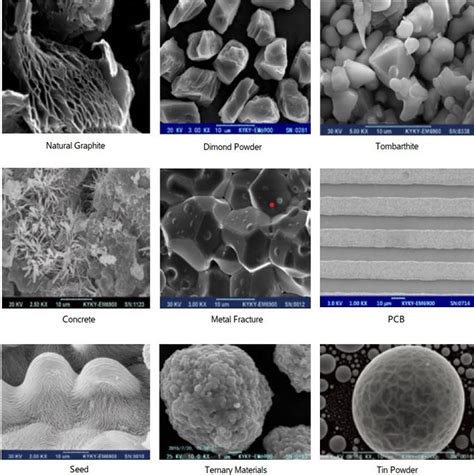 8x 300000x Scanning Electron Microscope 3 6nm Resolution Ebsd Ebsd