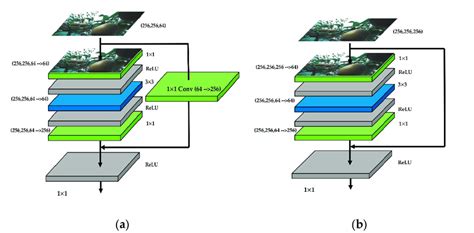 The Inner Structure Of Resnet101 As An Example Of Second Layers C2 Download Scientific