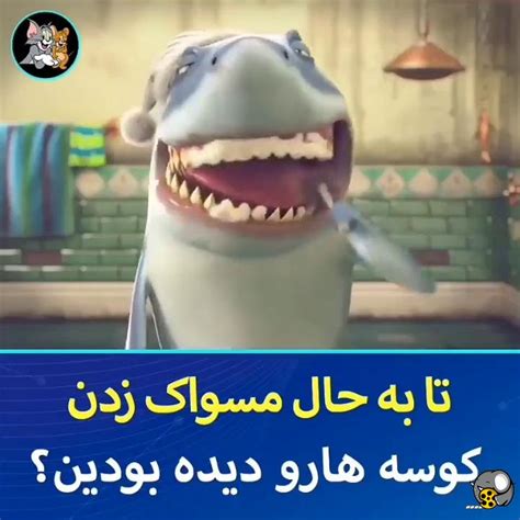 مسواک زدن کوسه بی اعساب ودرعین حال خنده دارچه زیبا ودل انگیزتماشا کنید