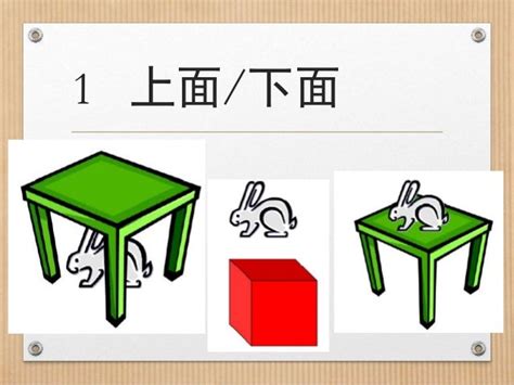 Chinese Link Textbook Lesson 15 Vocabulary