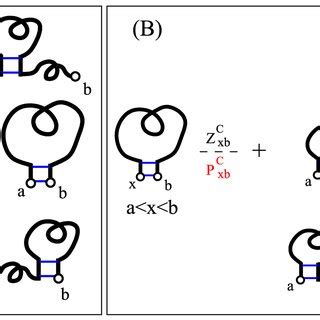 Schematic Diagrams To Show The Recursive Partition Function Calculation Download Scientific