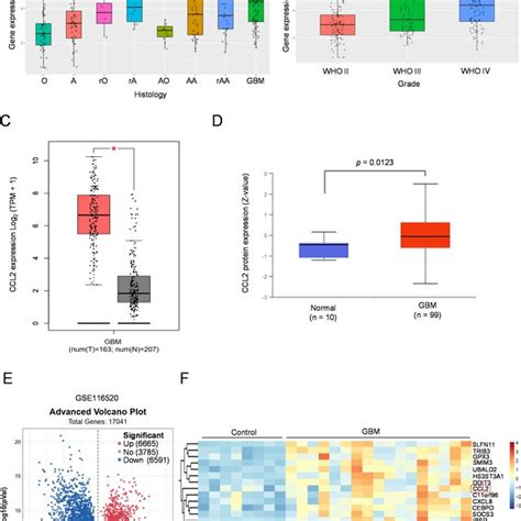 Ccl2 Is Highly Expressed In Gbm A B The Expression Level Of Ccl2 In