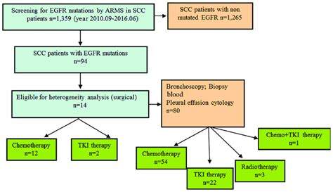 Enrolment And Outcomes Arms Amplification Refractory Mutation System Download Scientific
