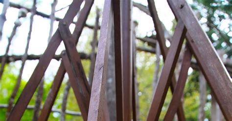 20 Beautiful Tripod Trellis Joey Joeysocial