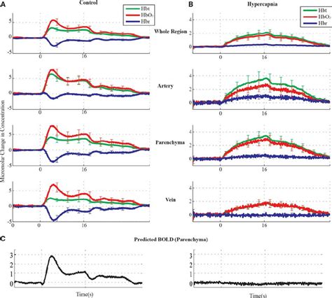 Time Series Of Cortical Hemodynamic Responses From Regions Of Interest