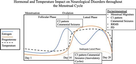 The Ovarian Hormones Progesterone And Estrogen Fluctuate Throughout Download Scientific