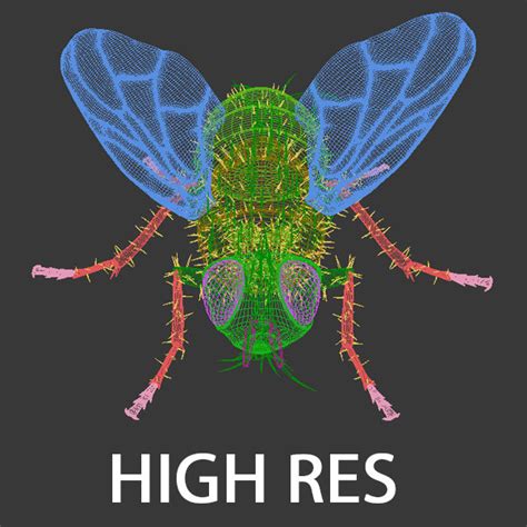 3d Rigged Animation