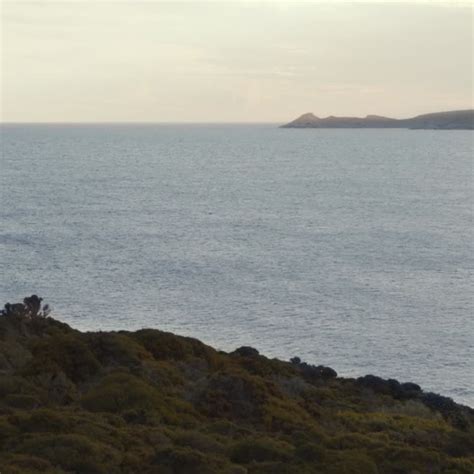 Maliha Zeba Khan Phd On Linkedin Blueback 2023 Trailer