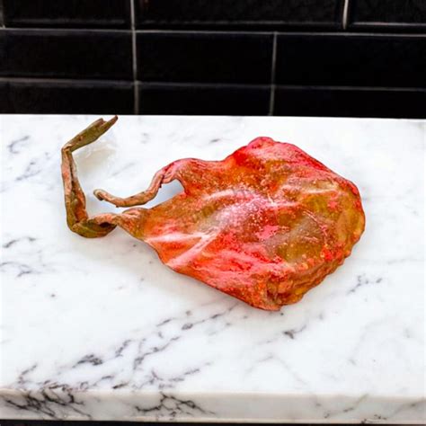 Billi Ki Jer Energized Cat Naval Chord 100 Original Lab Certifi Timeshopee