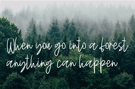 Tree Forest Script Font By Just Lett Studio TheHungryJPEG Com