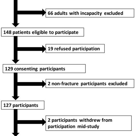 Participant Recruitment Flow Chart Download Scientific Diagram
