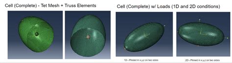 GitHub ARaviku Finite Element Analysis For Engineered Scaffolds