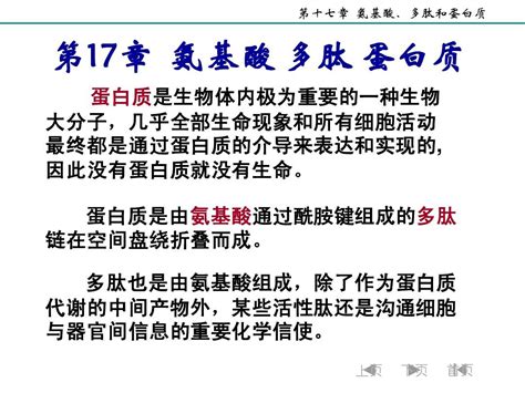 17 氨基酸 多肽 蛋白质 Word文档在线阅读与下载 无忧文档