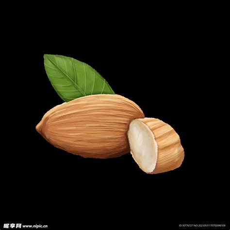 手绘杏仁素材设计图其他广告设计设计图库昵图网