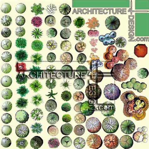 14 PSD Trees For Rendering Images Architectural Rendering Trees Photoshop Shrubs Elevation