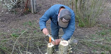 Strawberry Planters And Graphing Some Plum Trees Bobs Eyesbobs Eyes