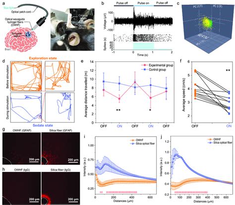 Optogenetic Stimulation For Brain Interface Communications A Left