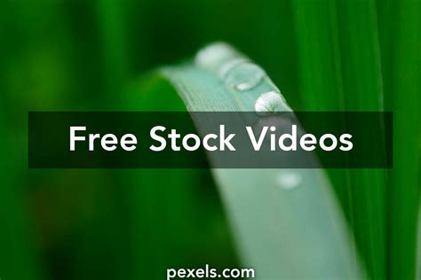 Grass Texture 4k Videos Download The Best Free 4k Stock Video Footage
