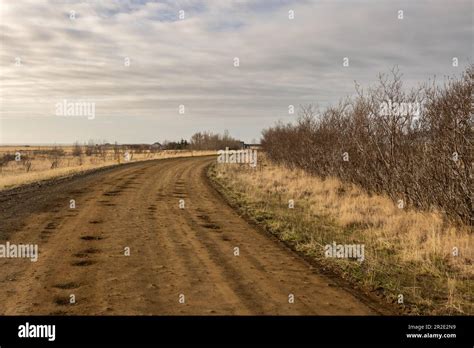Curve Of A Country Gravel Road Linded By Grass Bushes And Trees In