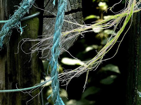 17 Best Images About Tie The Knot On Pinterest Rope Braid Rope Art And Rope Bracelets