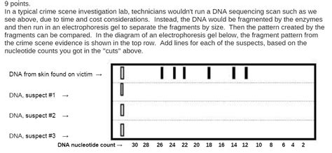 Solved 9 Points In A Typical Crime Scene Investigation Lab Technicians Course Hero