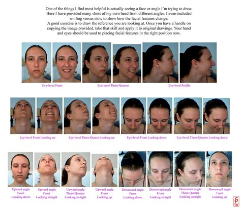 Head Face Angles Face Angles Face Drawing Reference Angles