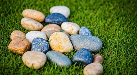 Pond Pebbles Vs River Pebbles Which Is Better