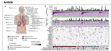 跟着nature学作图 Ggplot2包绘制复杂组合图 知乎