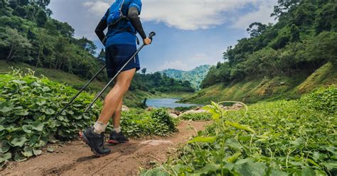 러너 그는 트레일을 달리고 있습니다 산속 자연 산책로에서 사진 Unsplash의 인간 본성 이미지