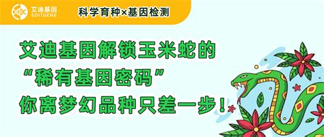 基因编辑服务 基因敲除细胞 点突变 文库筛选 基因插入 CRISPR检测 稳转株构建 艾迪基因EDITGENE 艾迪基因