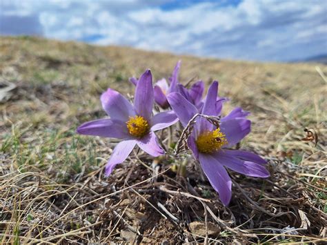 2024 05 05 Төөрөгдлийн манан Бидний өдөр тутмын амьдралд их бага… By