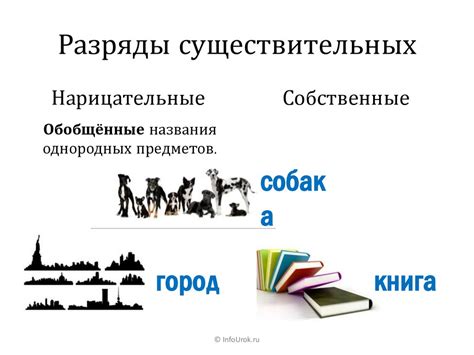 Разряды существительных презентация онлайн