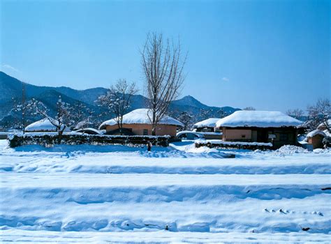 雪景에 있는 Stella Wang님의 핀 자연 사진 풍경 사진 수채화 풍경