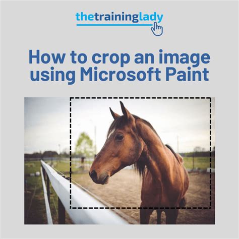 How To Crop An Image Using Microsoft Paint The Training Lady