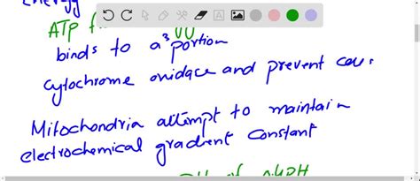 The Graph Shows The Ph Difference Across The Inner Mitochondrial Membrane In A Normal