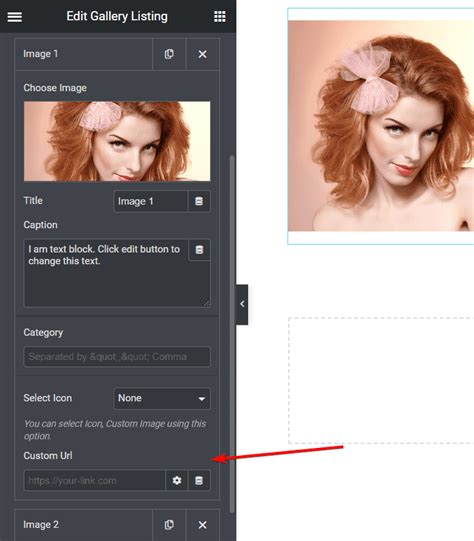 How To Link Elementor Gallery And Carousel Images With Unique Url In 2025