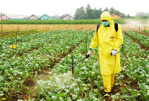 ‪ ‎การแบนสารที่เป็นพิษไปเลยเป็นหนทางที่ถูกแล้วหรือ‬ Explore