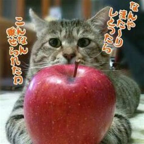 林檎木になる Youtube