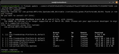 How To Update Flatpak Packages
