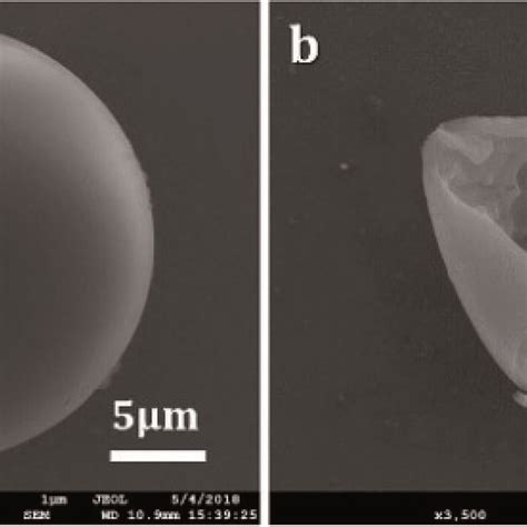 Sem Images Denoting The Morphology Of The Prepared Microcapsules A Download Scientific
