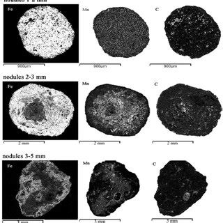 Different Nodule Size Fractions And Surrounding Soil Concentrations Of Download Scientific