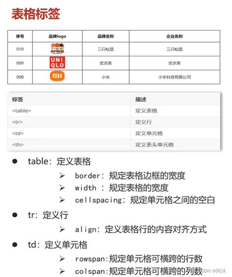 Htmlcssjavascript入门教程（万字）htmlcssjs Csdn博客