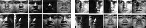 Sample Images From The Extended Yale B Face Database Download Scientific Diagram