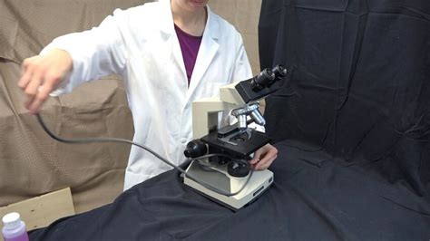 Frame Wide Shots To Include Important Movements Example Still Image Download Scientific