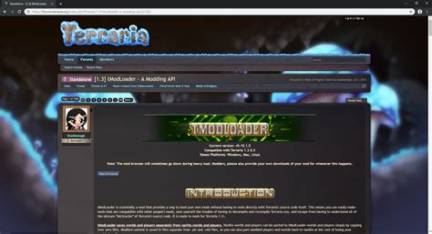 Steam Community Guide How To Install TModLoader